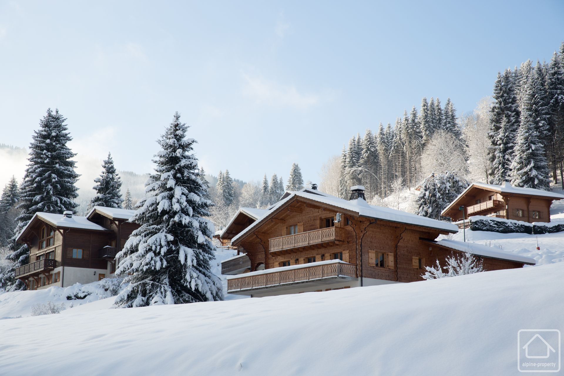 Chalet Praline - Alpine Property, Estate Agent in the French Alps