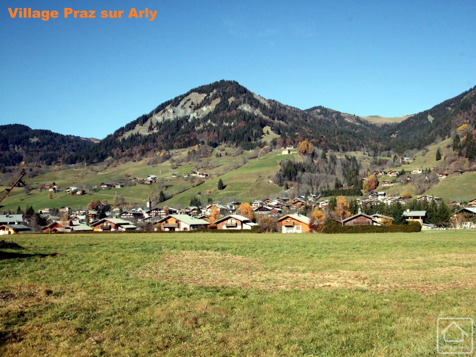 Terrain Praline - Alpine Property, Estate Agent in the French Alps
